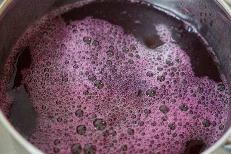 Natural Dyeing With Amaranth - Rosemary And Pines Fiber Arts