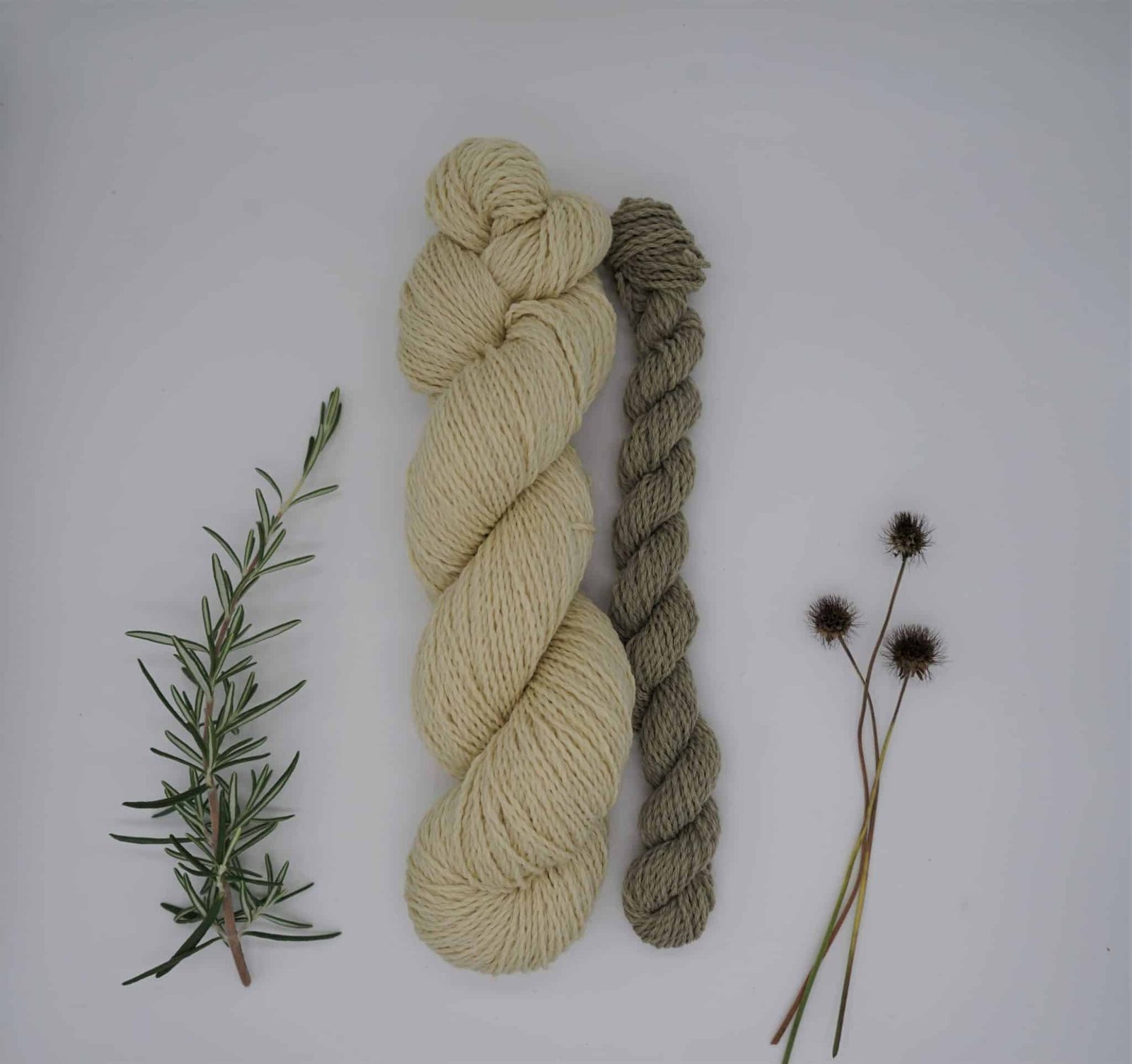 Natural Yellow Dyes for Yarn and Fabric - Rosemary And Pines Fiber Arts